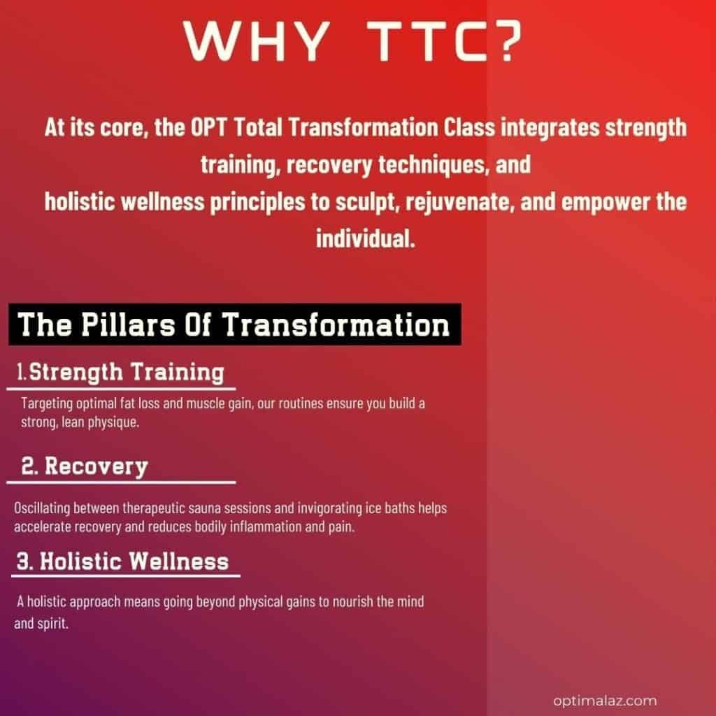 Fitness Coaching & Training - Mesa, AZ - Optimal Performance Training